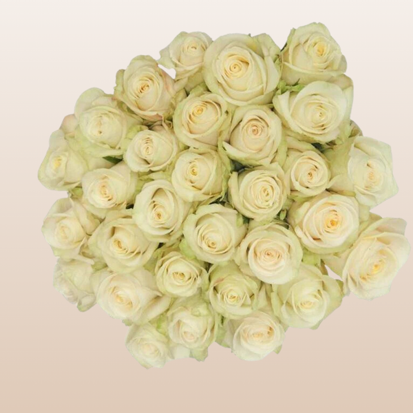 Soul Roses – EbloomsDirect