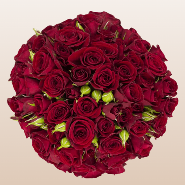 Rubicon Red Spray Rose | Free Delivery Near Me - EbloomsDirect