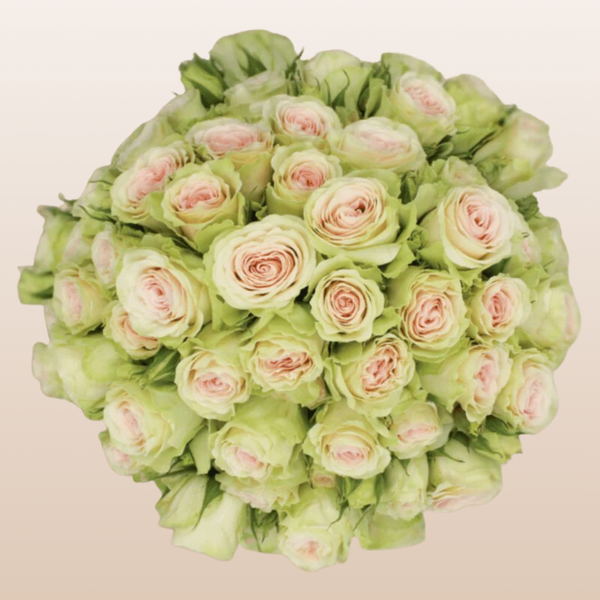 Fibonacci Yantra Blush Pink Spray Rose | Free Delivery Near Me ...