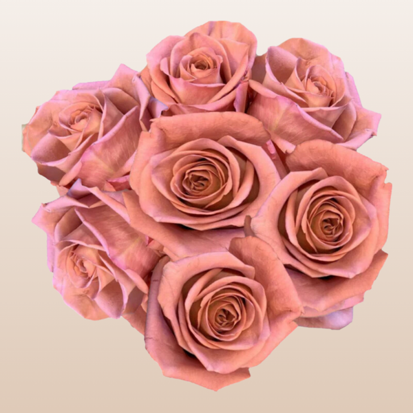 Barista Roses – EbloomsDirect