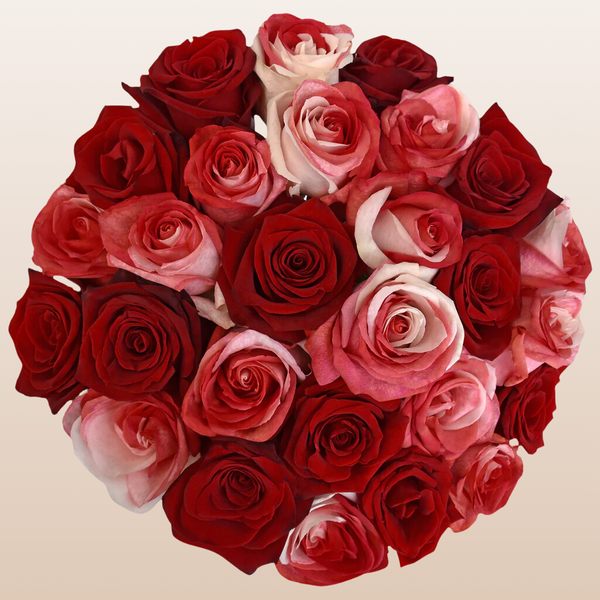 Red & Bicolor Red/White Tinted Roses – EbloomsDirect