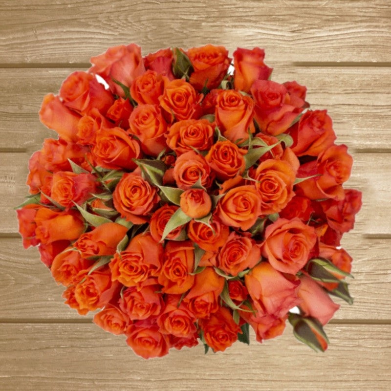 Alegria Spray Rose Orange - EbloomsDirect – Eblooms Farm Direct Inc.