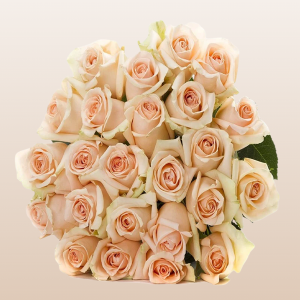 Alejandra Roses – EbloomsDirect