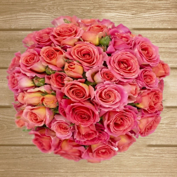 Andrea Spray Rose Coral Pink - EbloomsDirect – Eblooms Farm Direct Inc.