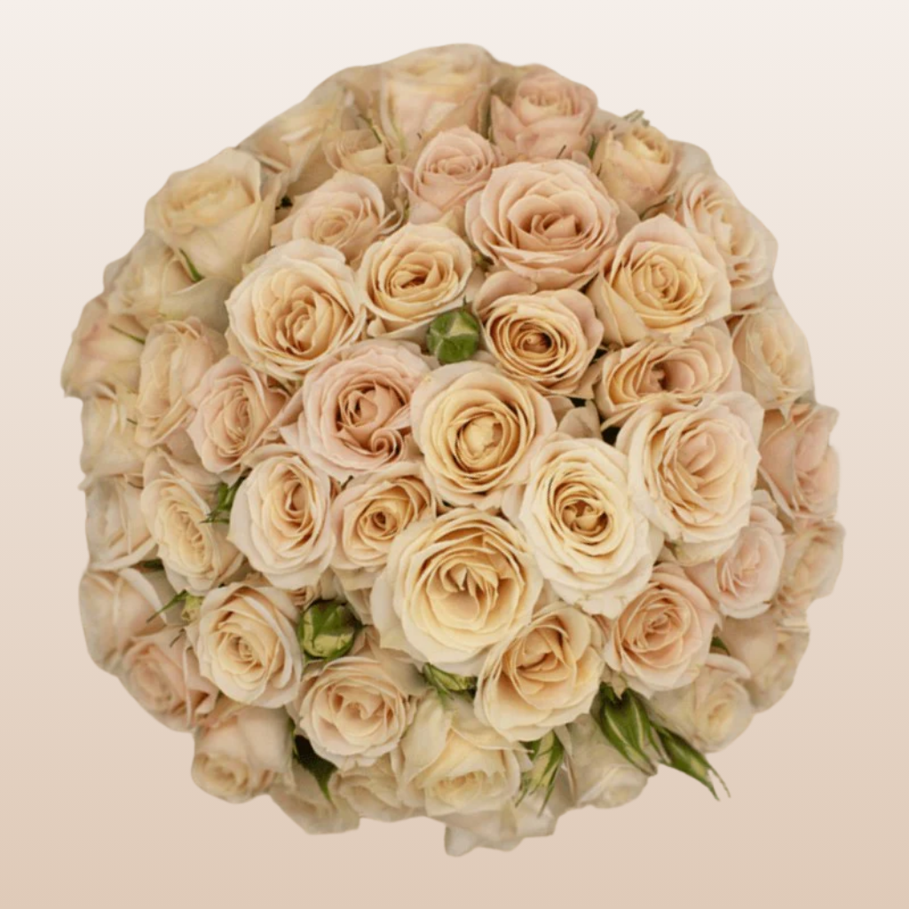 Bali Peach Sandy Spray Rose | Free Delivery Near Me - EbloomsDirect