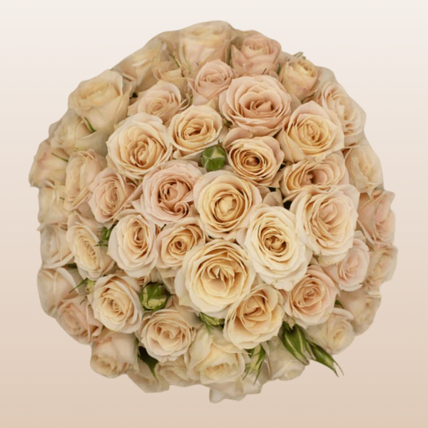 Bali Peach Sandy Spray Rose | Free Delivery Near Me - EbloomsDirect