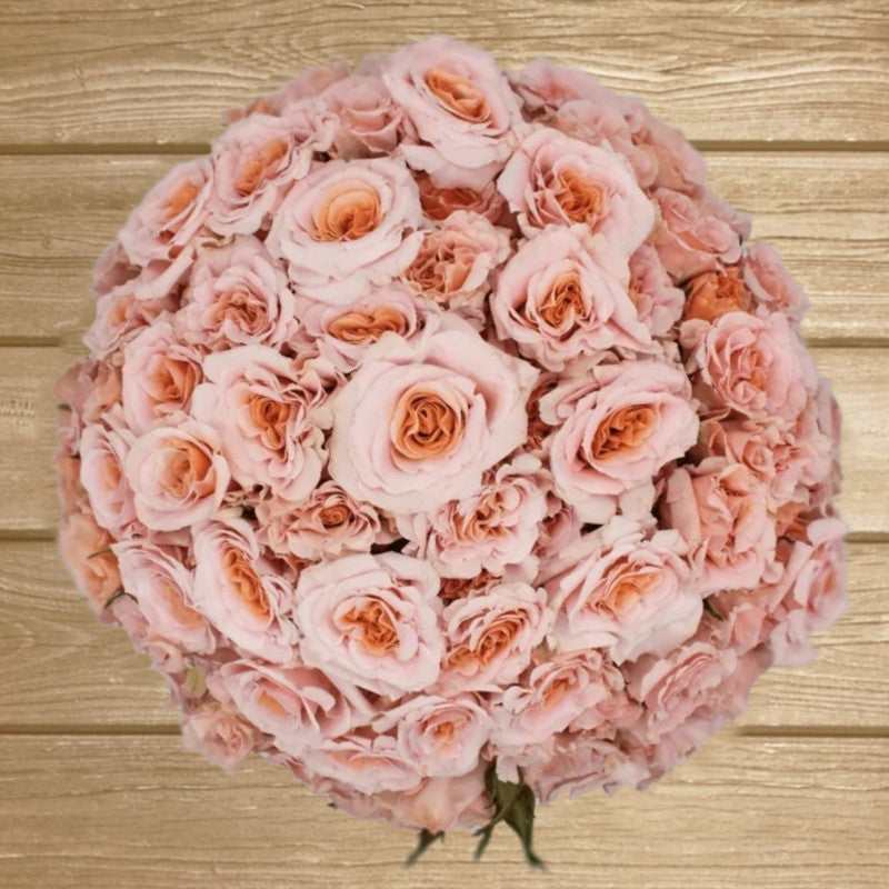 Be loving Peach Spray Rose - EbloomsDirect – Eblooms Farm Direct Inc.