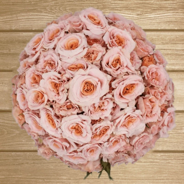 Be loving Peach Spray Rose - EbloomsDirect – Eblooms Farm Direct Inc.