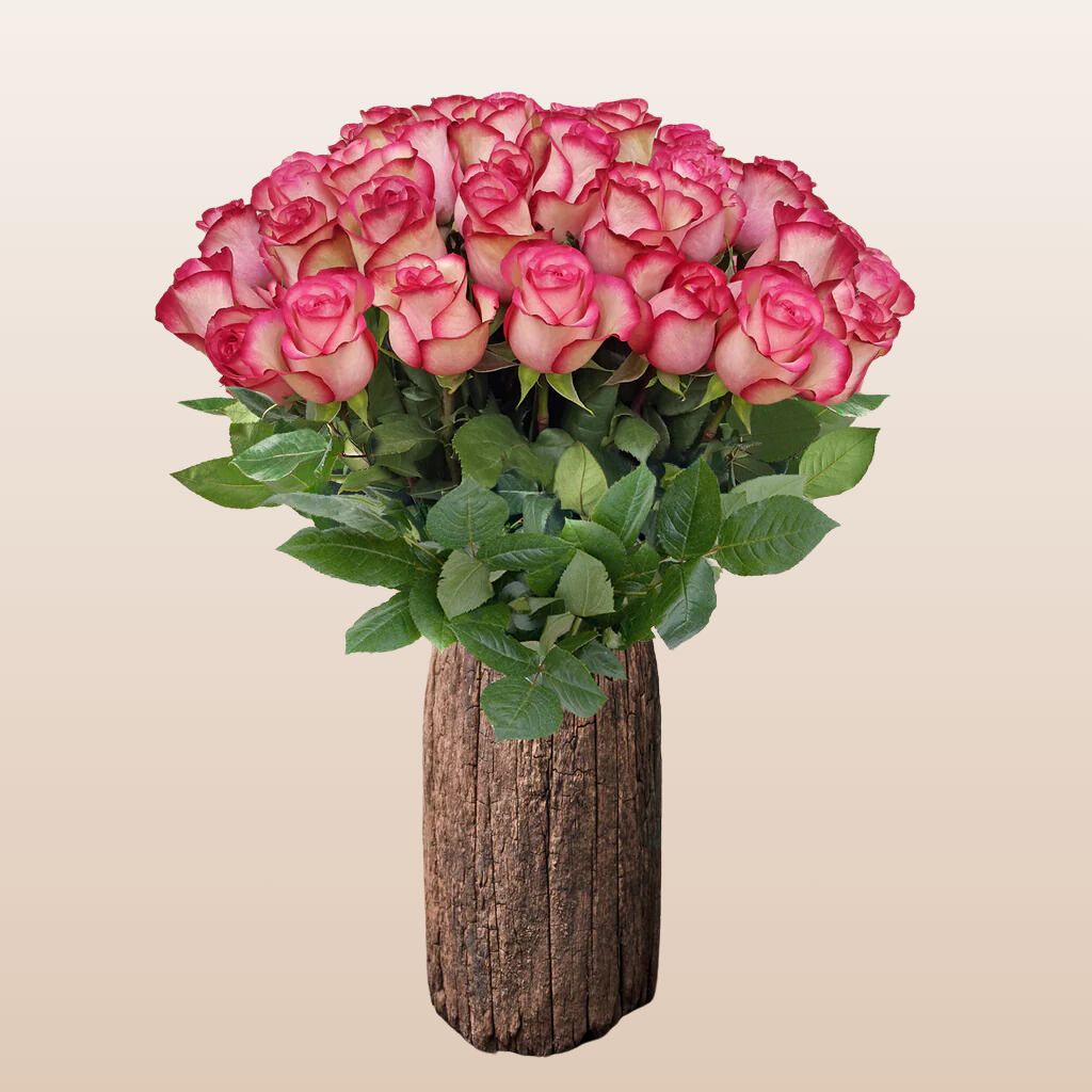 Bicolor White/Pink Roses - EbloomsDirect