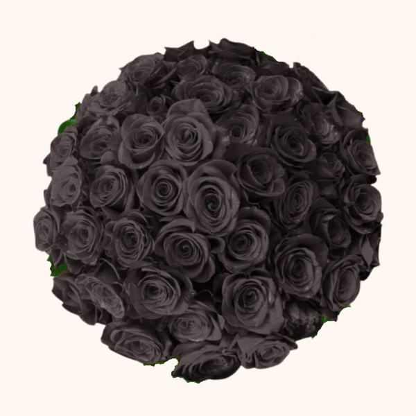 Black Tinted Roses – Eblooms Farm Direct Inc.