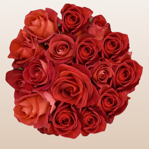 Cafe del Mar Rose Variety -EbloomsDirect
