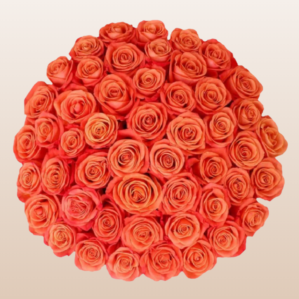 Cayenne Roses – EbloomsDirect