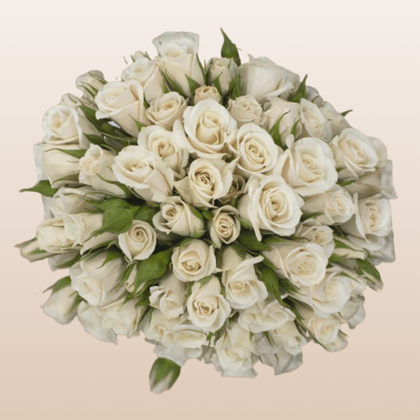 Champagne Majolika Spray Rose| Free Delivery Near Me - EbloomsDirect