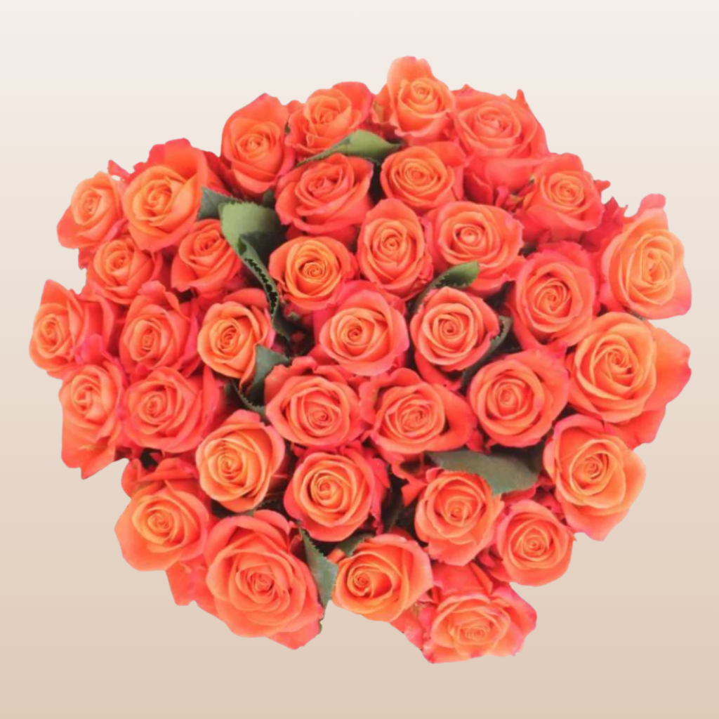Confidential Roses – EbloomsDirect