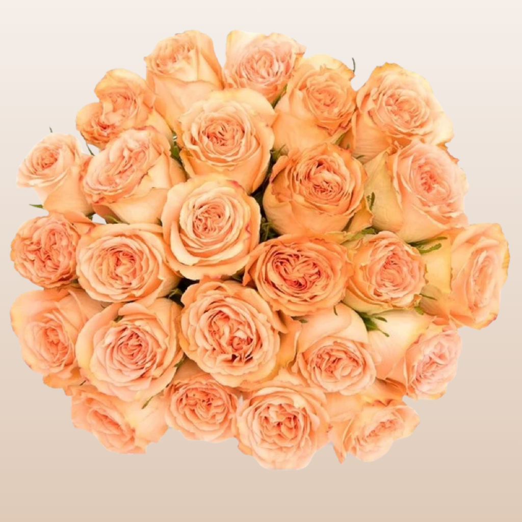 Country Home Peach Rose Variety - EbloomsDirect