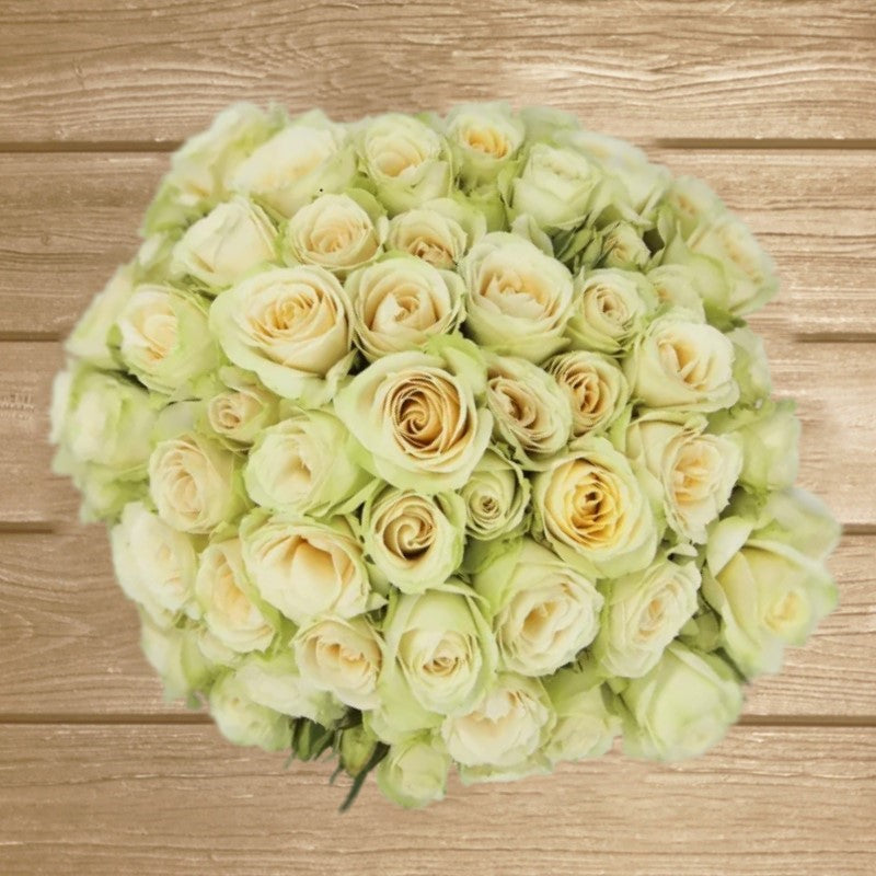 Cream irishka Ivory Spray Rose - EbloomsDirect – Eblooms Farm Direct Inc.