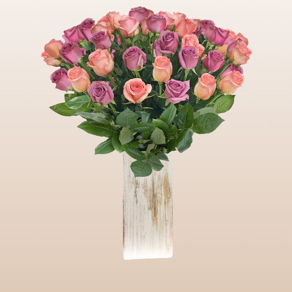 Roses Duo Lavender and Light Pink - EbloomsDirect