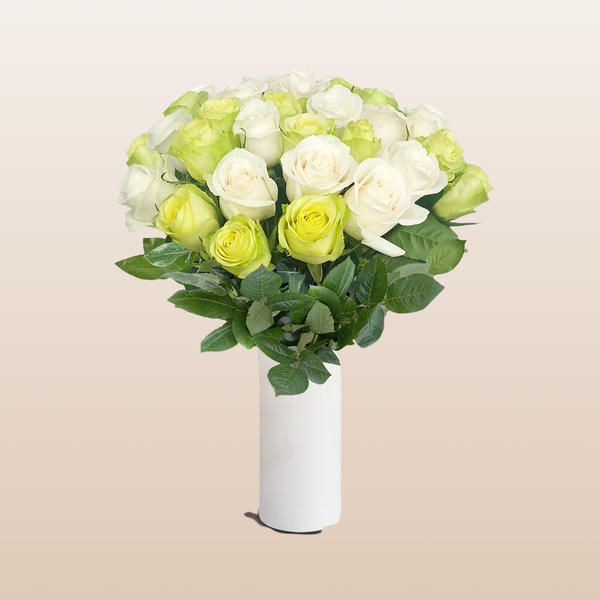 White & Green Roses - EbloomsDirect – Eblooms Farm Direct Inc.