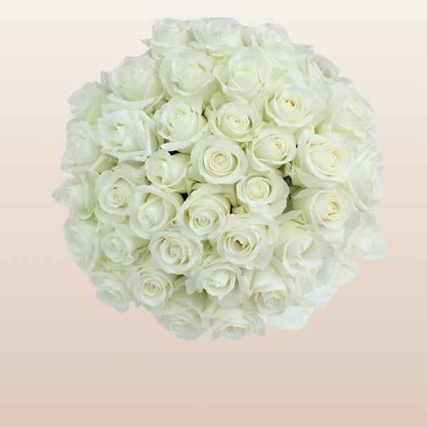 Escimo Roses – EbloomsDirect