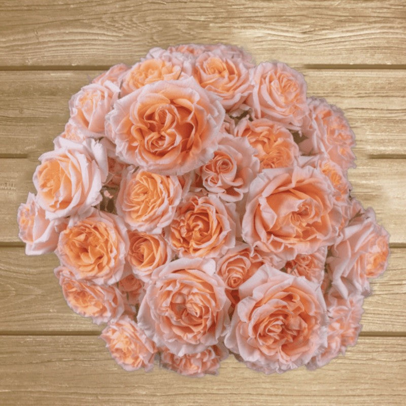 Fibonacci Peach Spray Rose - EbloomsDirect – Eblooms Farm Direct Inc.