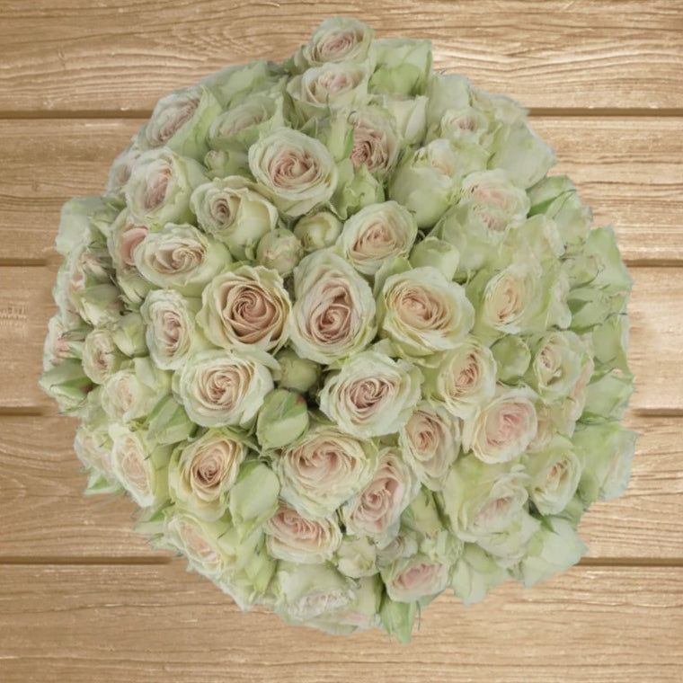 Spray Roses - Flowers for delivery near me - Free Shipping ...
