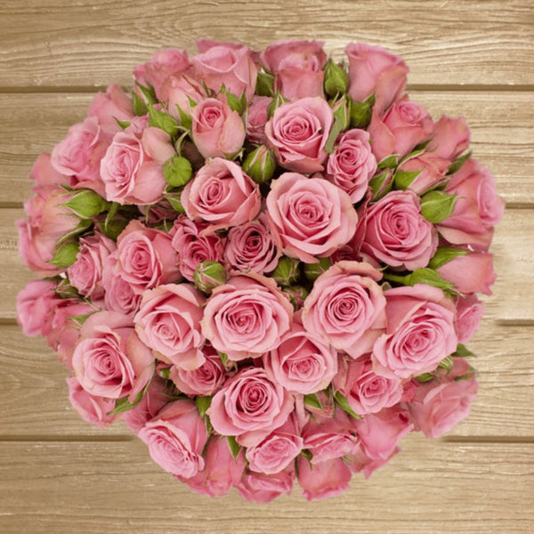 Lydia Medium Pink Spray Rose - EbloomsDirect – Eblooms Farm Direct Inc.