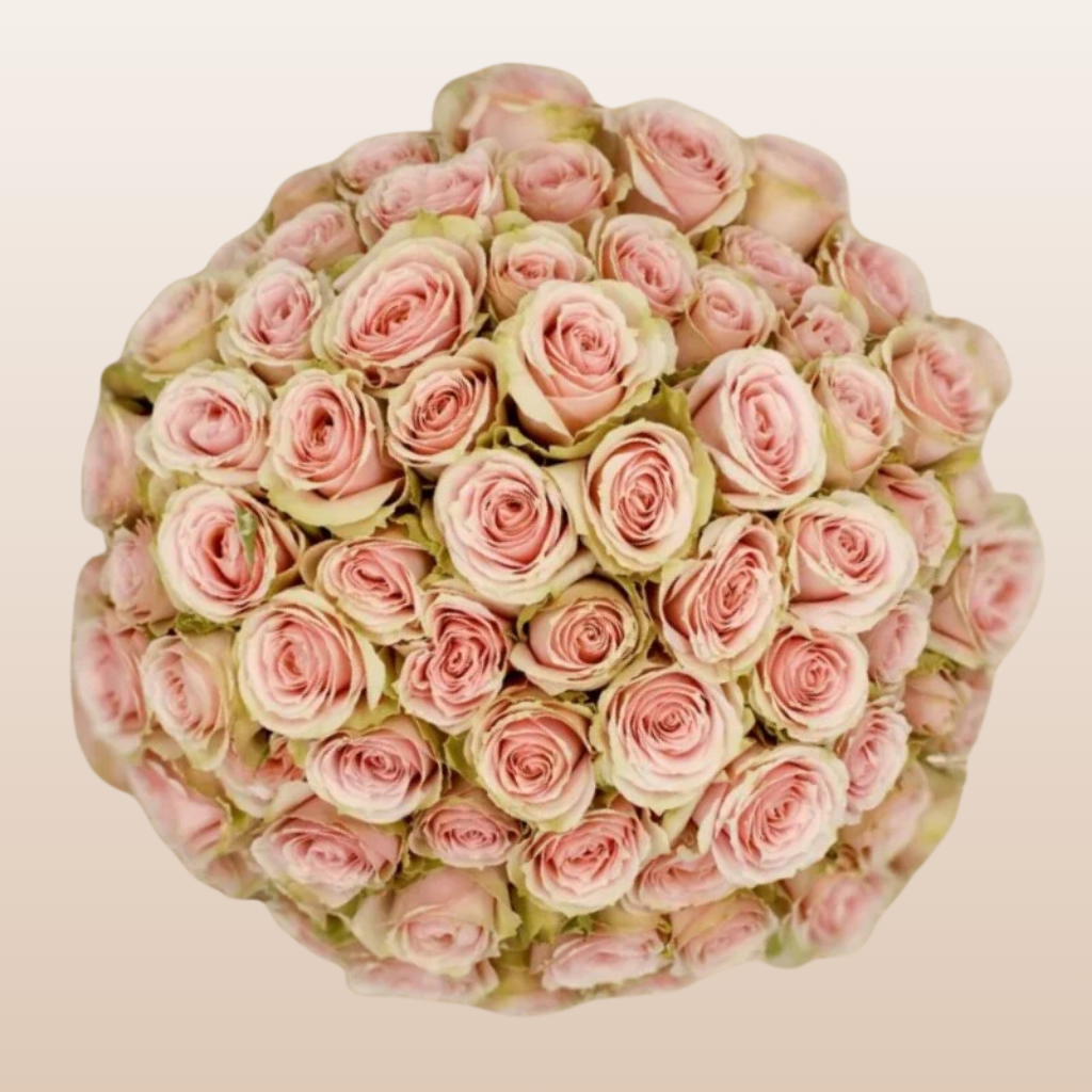 Peach irishka Light Pink Spray Rose | Free Delivery Near Me - EbloomsDirect