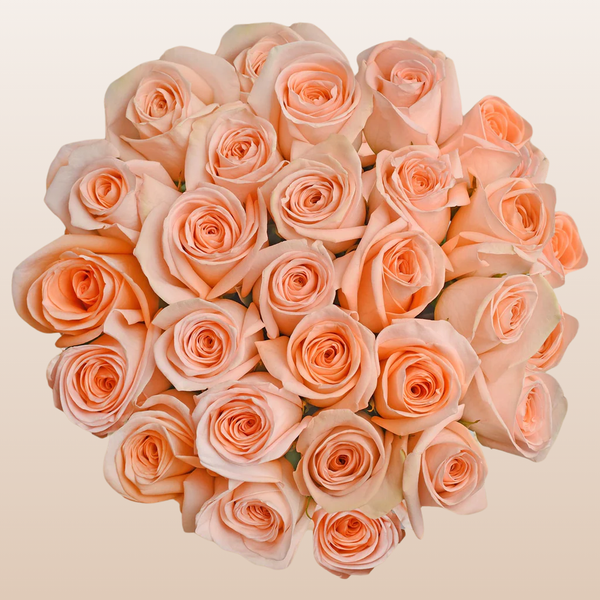 Peach Roses - EbloomsDirect