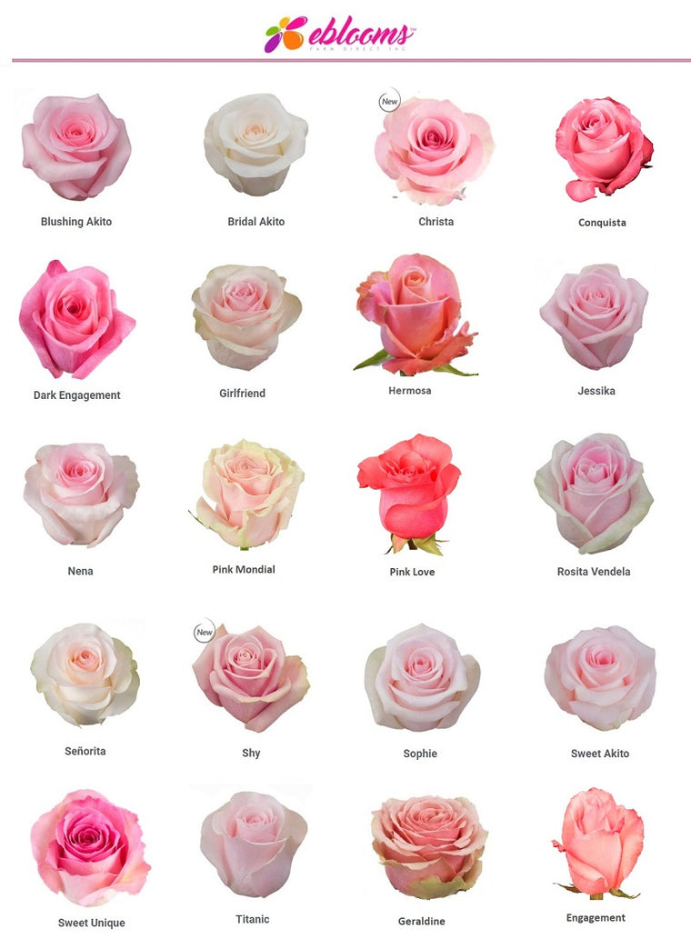 EbloomsDirect - Flowers Delivery Near me - 50 roses $65.00 – Eblooms ...