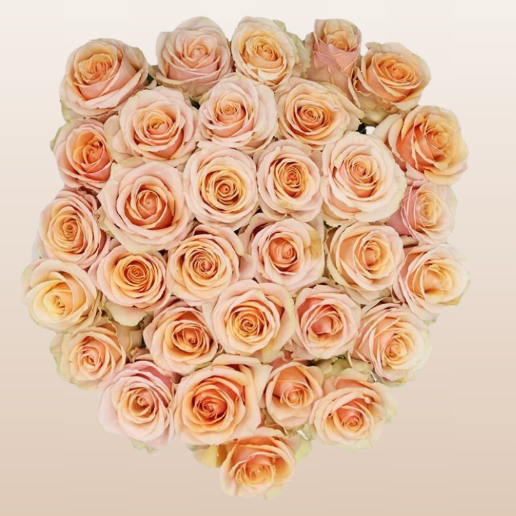 Primavera Roses – EbloomsDirect