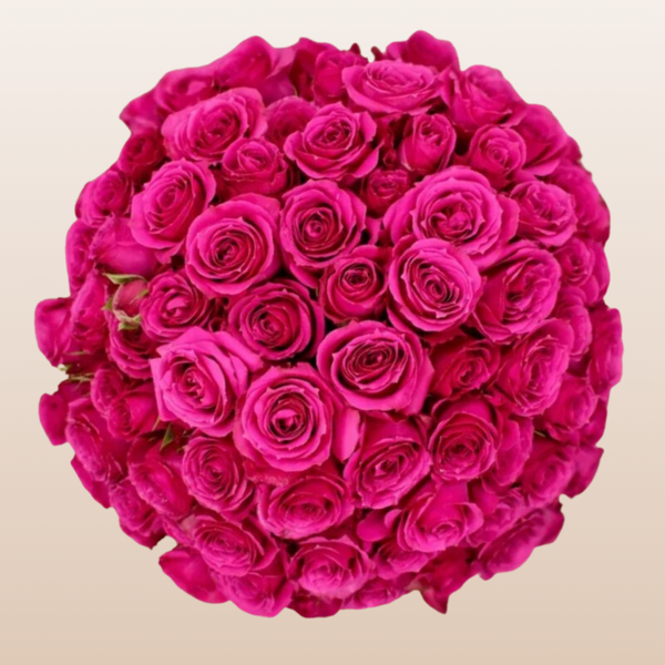 Purple Irishka Hot Pink Spray Rose | Free Delivery Near Me - EbloomsDirect