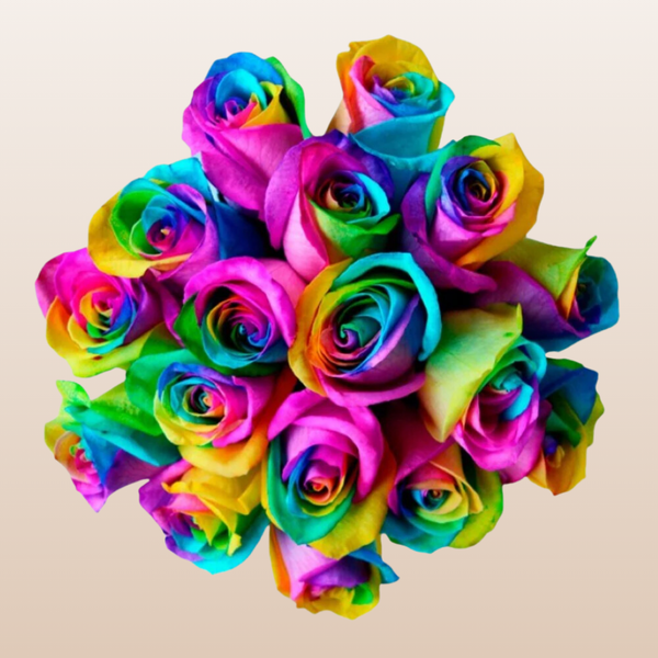 Rainbow Tinted Roses - EbloomsDirect