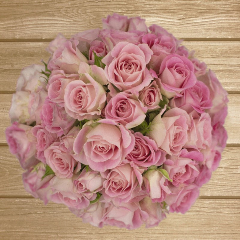 Romantica Medium Pink Spray Rose - EbloomsDirect – Eblooms Farm Direct Inc.