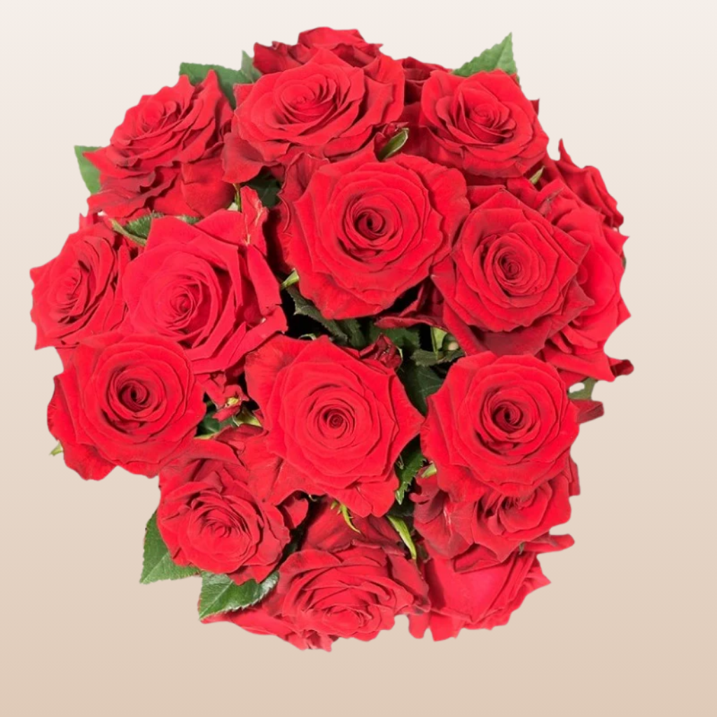 Royal Explorer Red Rose Variety - EbloomsDirect