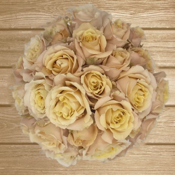 Sahara Sensation Sandy Spray Rose - EbloomsDirect – Eblooms Farm Direct ...