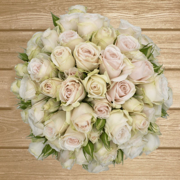 Soft Pink Spray Rose - EbloomsDirect – Eblooms Farm Direct Inc.