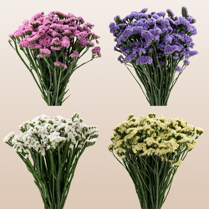 Statice Flowers near me with Free Delivery by EbloomsDirect