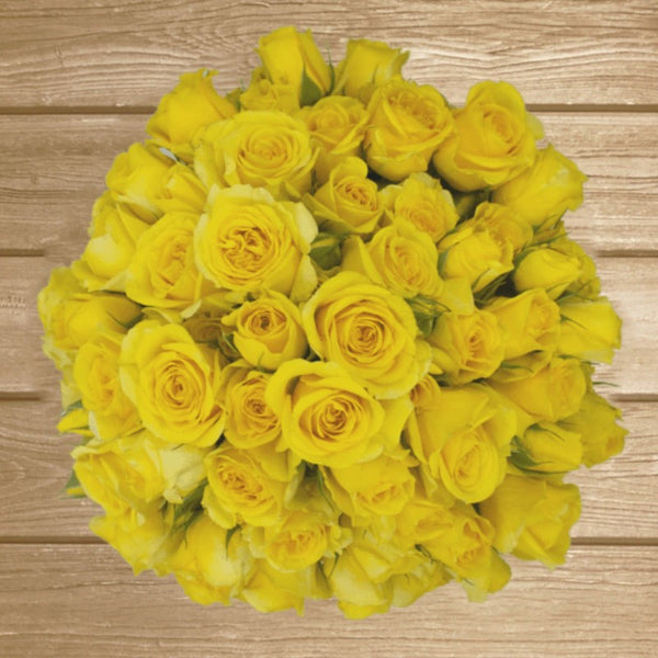 Sun City Yellow Spray Rose - EbloomsDirect – Eblooms Farm Direct Inc.