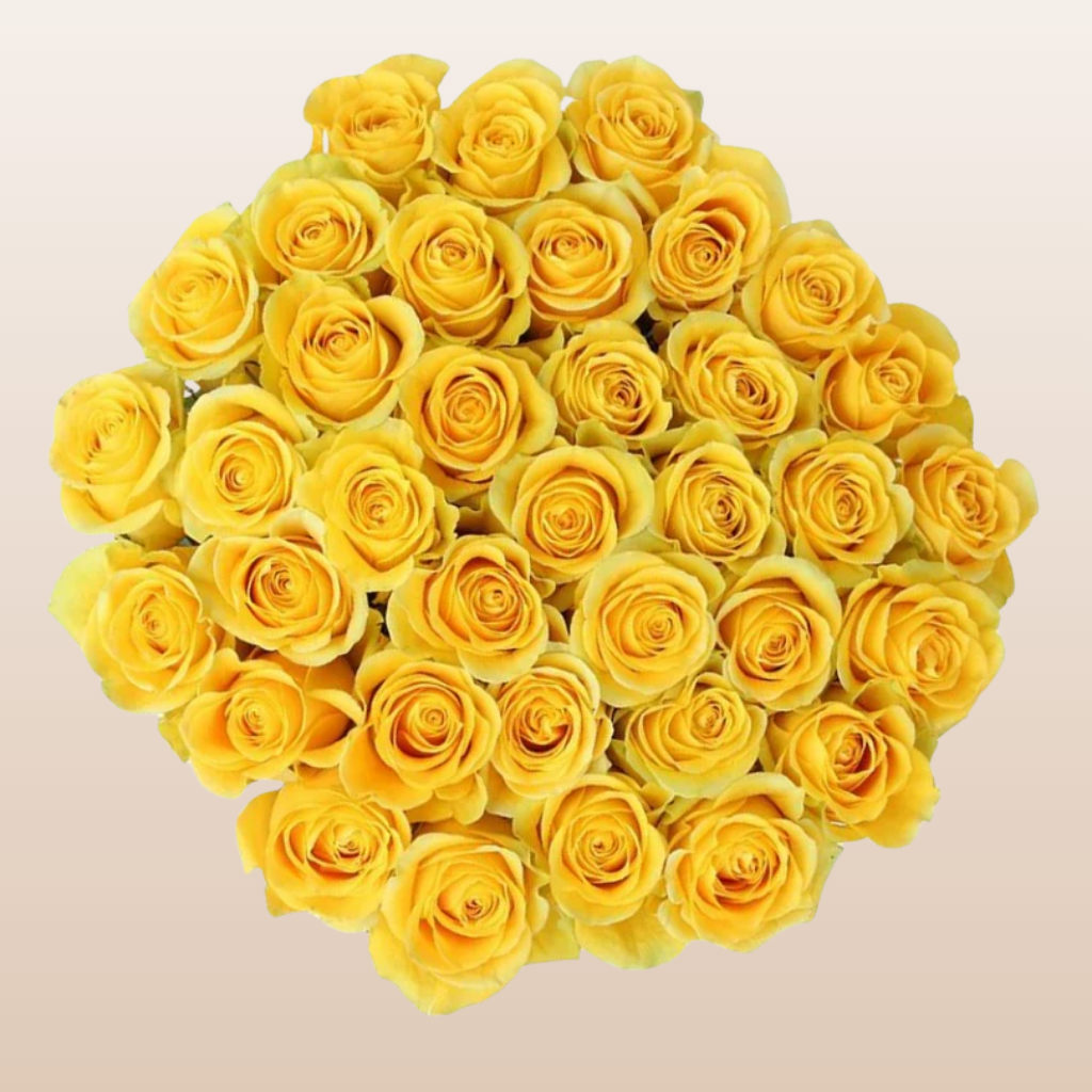 Super Sun Rose Variety - EbloomsDirect