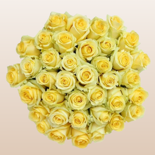 Tara Rose Variety -EbloomsDirect