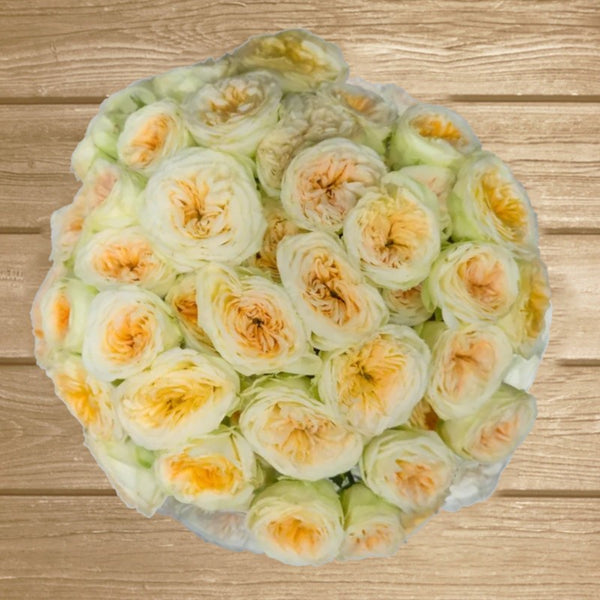 Winke Allure Ivory Spray Rose - EbloomsDirect – Eblooms Farm Direct Inc.