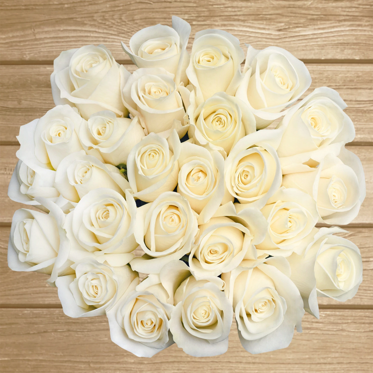 White Roses Wholesale bulk flowers -EbloomsDirect