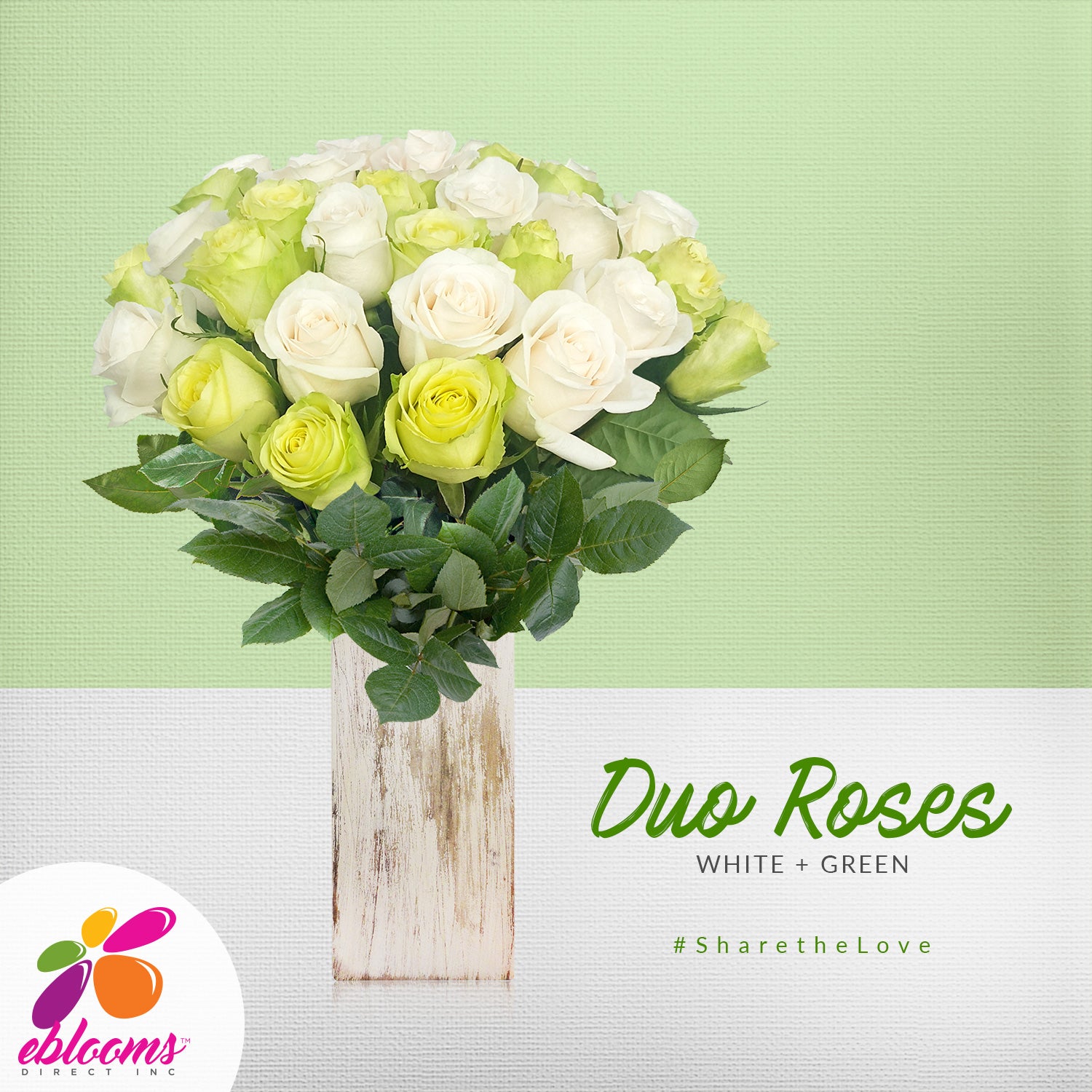 White & Green Roses - EbloomsDirect – Eblooms Farm Direct Inc.