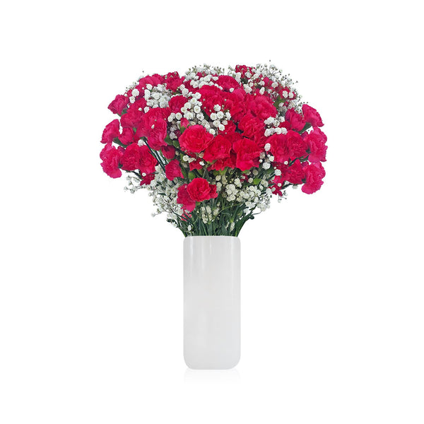 Mini Carnation Hot Pink Bqt – Eblooms Farm Direct Inc.