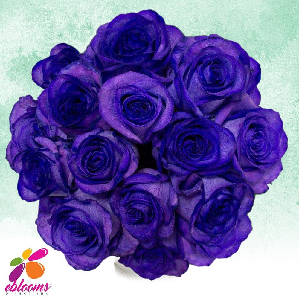 Purple Tinted Roses - EbloomsDirect – Eblooms Farm Direct Inc.